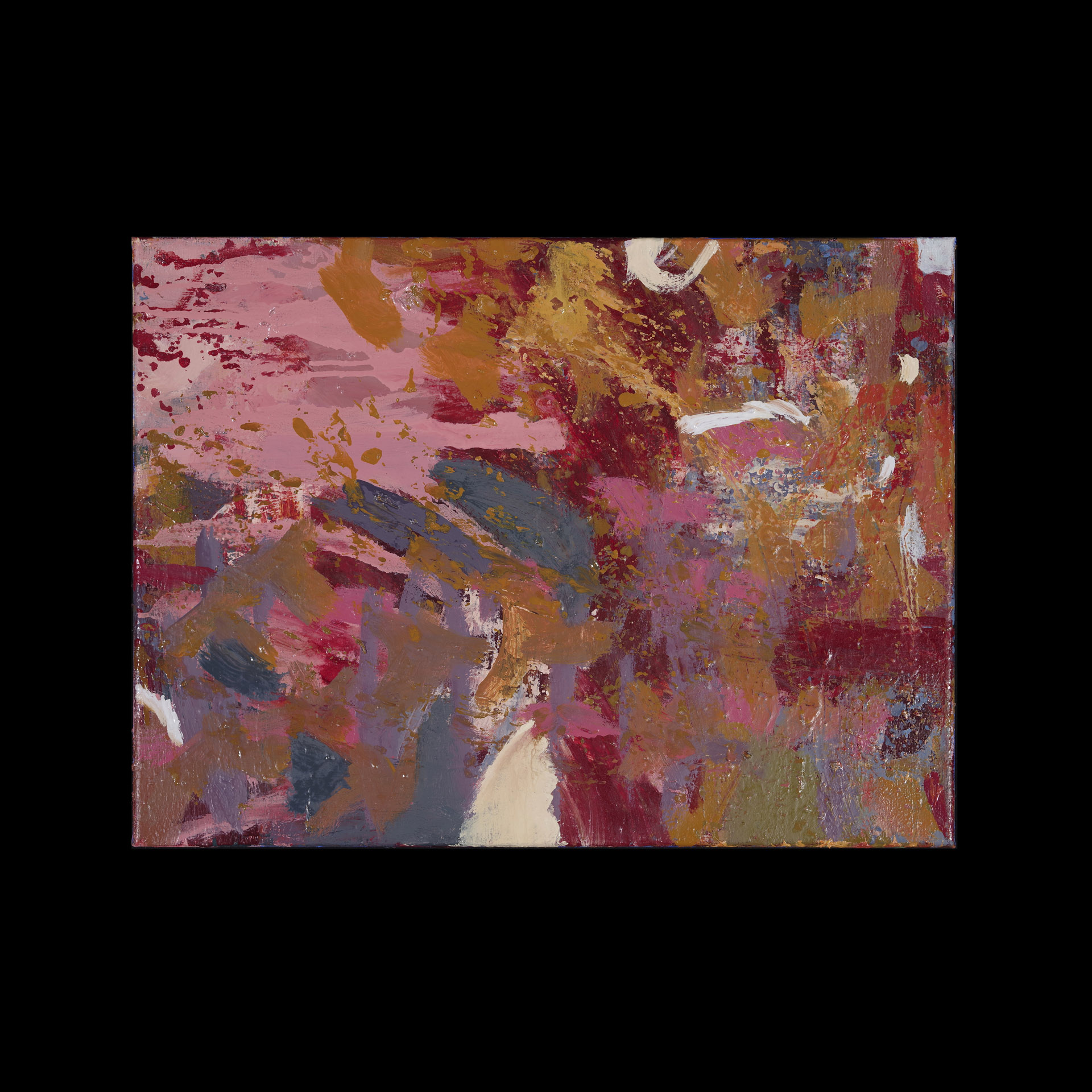 Genesis | Stacy Leeman